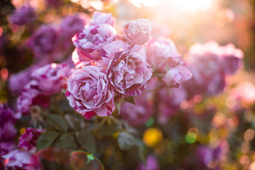 Kostenlos. Freizeitaktivitäten mit Kind in deiner Region